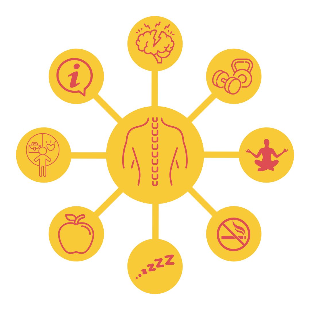 7 dingen die jij kunt doen om rugpijn te voorkomen - Lets Go Fysio