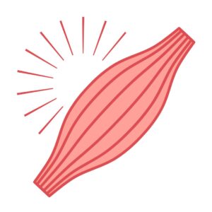 Stijve spieren en rugpijn: dit is wat je echt moet weten- Lets Go Fysio